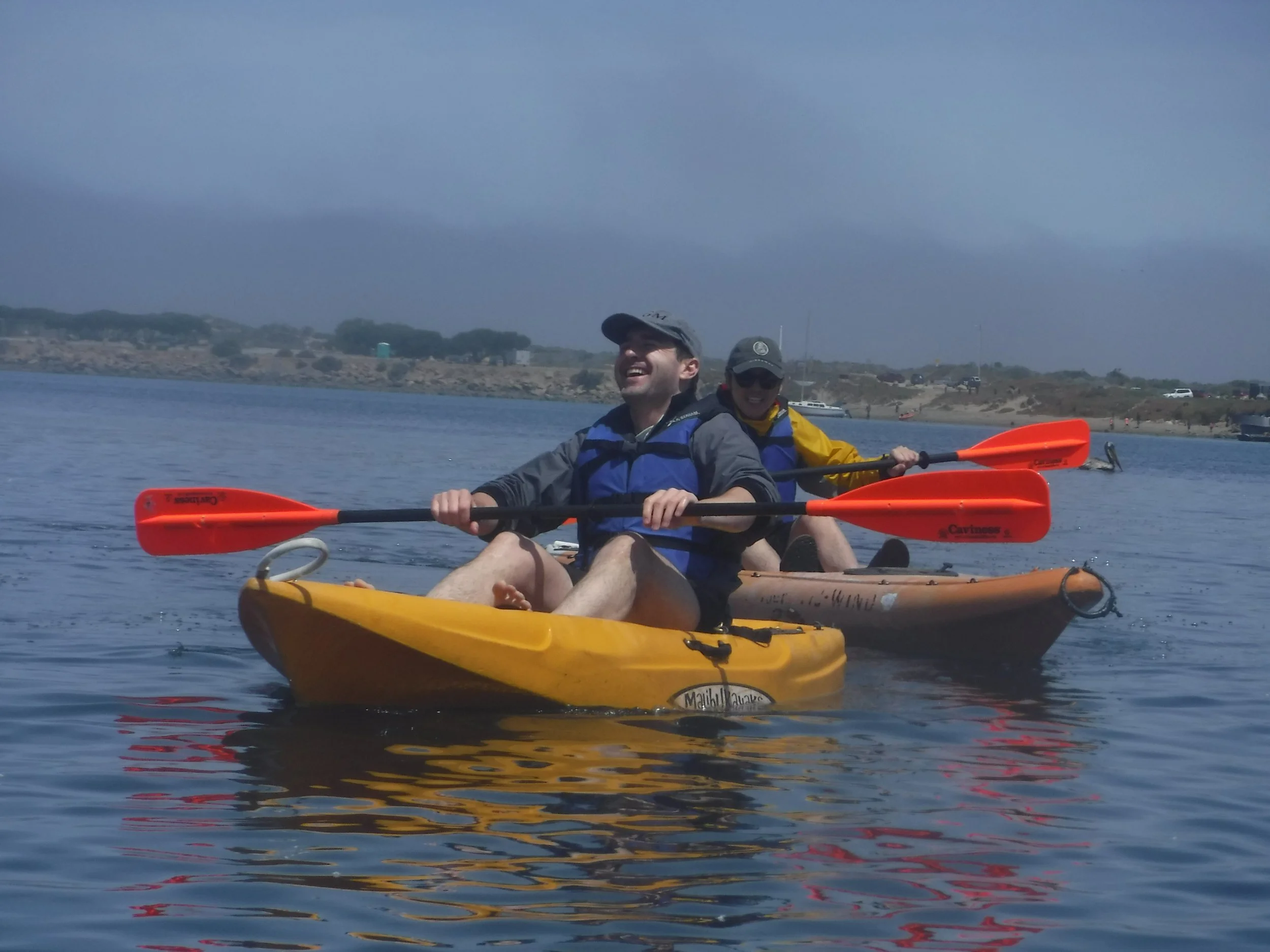 Morro Bay Wildlife Tour | Book Your Adventure — Central Coast Kayaks