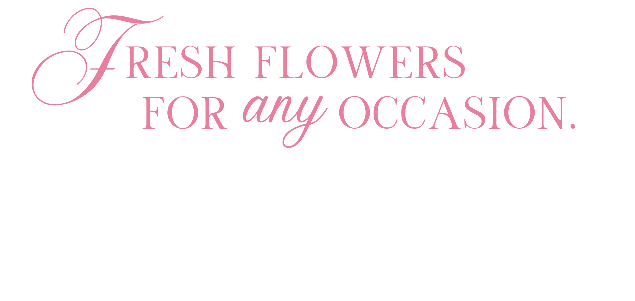 Blush and Bashful Flower Co | Fresh Flowers & Gifts in Arcadia, FL