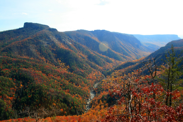 Fall Foliage Drives in Asheville You Can’t Miss — Asheville Elevated