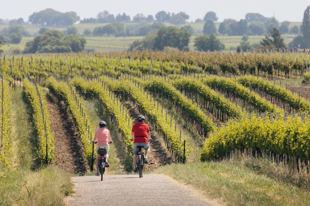 Getaway Adventures: Wine Country ADVENTURE TOURS & ACTIVITIES