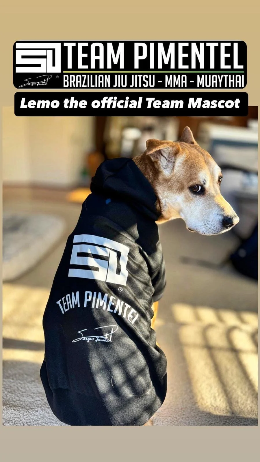 Team Mascot — Team Pimentel BJJ & MMA