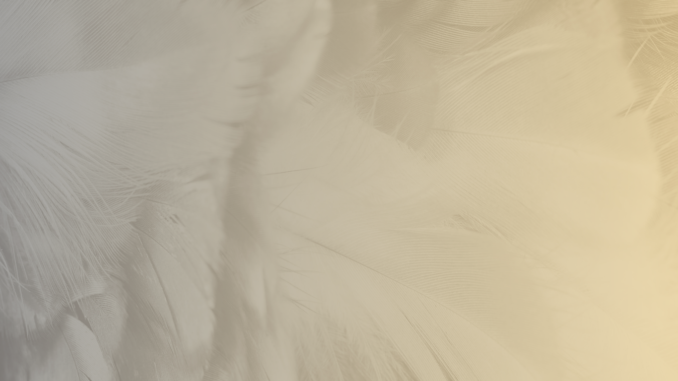 Caty Rogan | Fantasy Romance Author