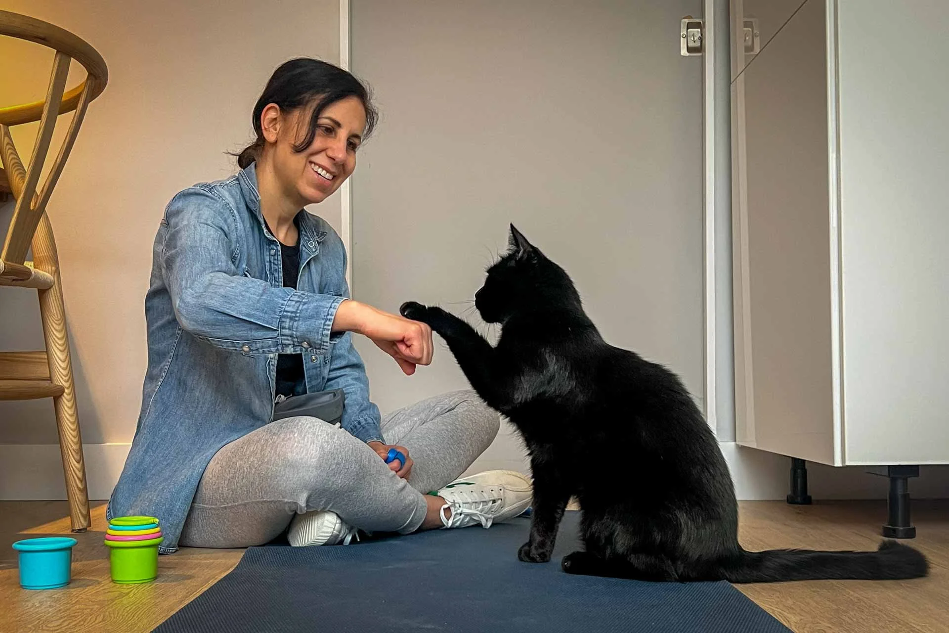 How to Clicker Train Your Cat: Beginner Guide + First Trick (Fist Bump)