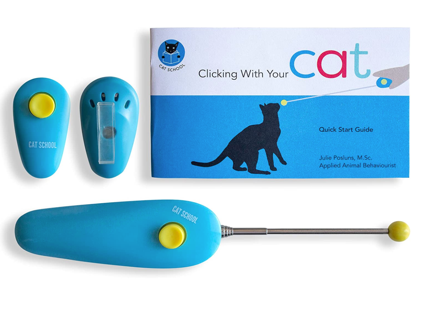 A Step-by-Step Guide to Brushing A Cat's Teeth