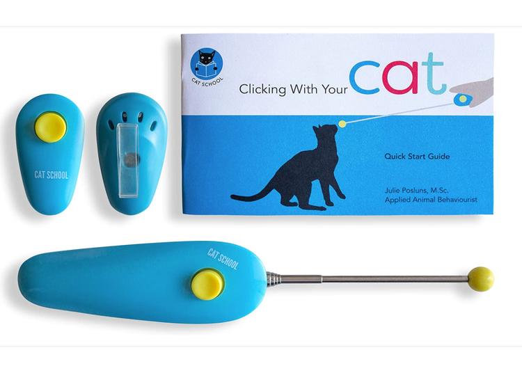 A Step-by-Step Guide to Brushing A Cat's Teeth