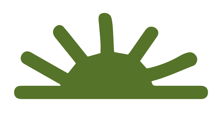 STS Summer Camp
