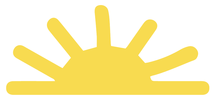 STS Summer Camp