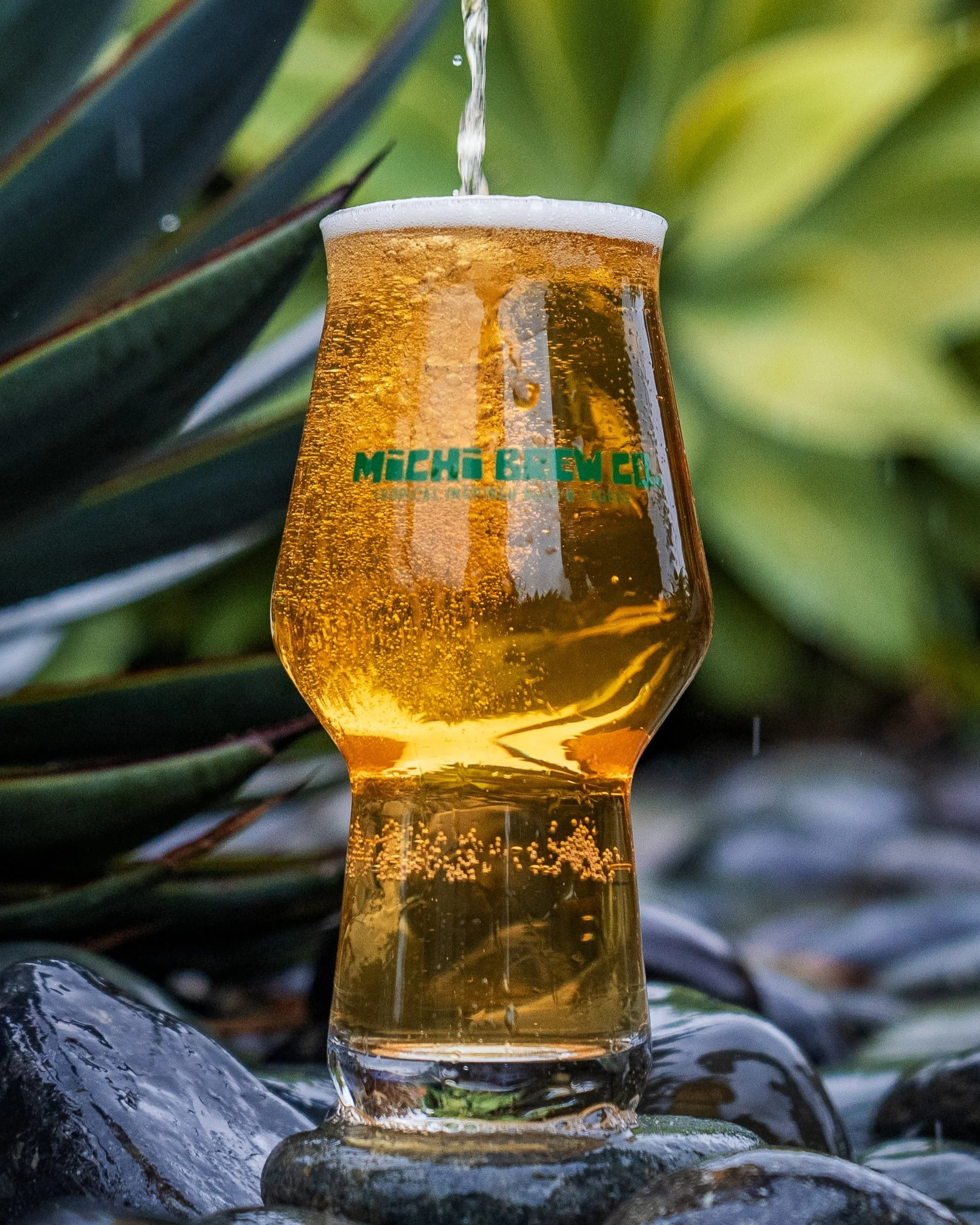 Beer Menu at Michi Brew Co. | Tropical Inspired Ales & Lagers — Michi ...