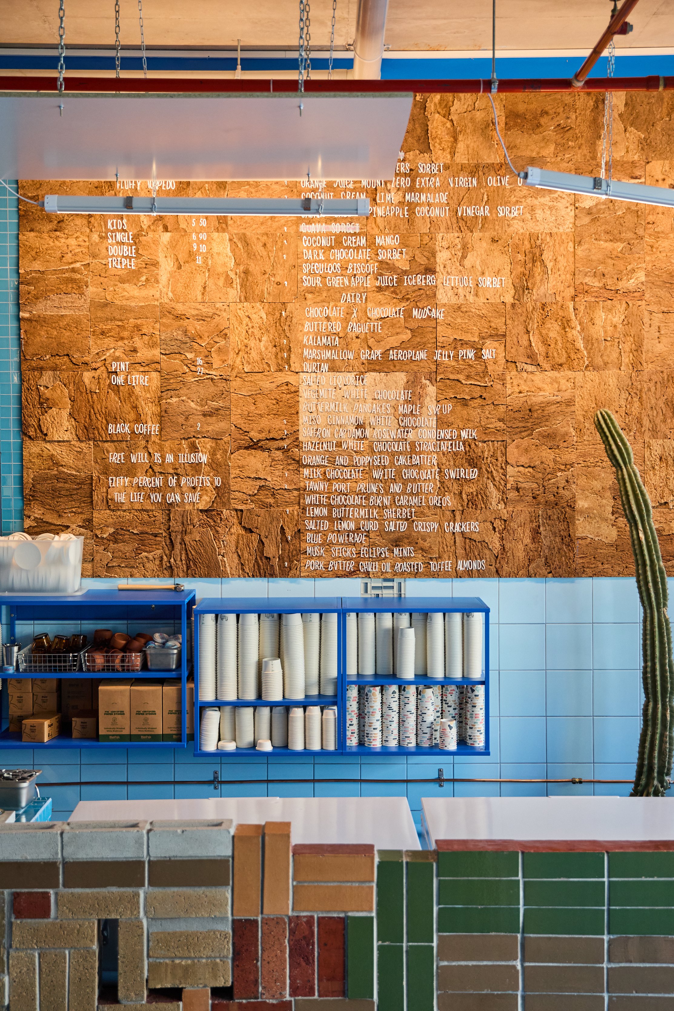 STORES — Fluffy Torpedo