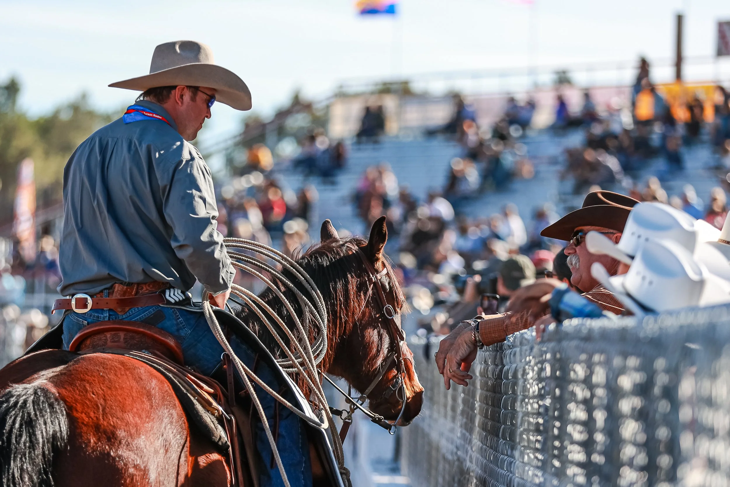 Results | Discover Rodeo Results Today — Tucson Rodeo