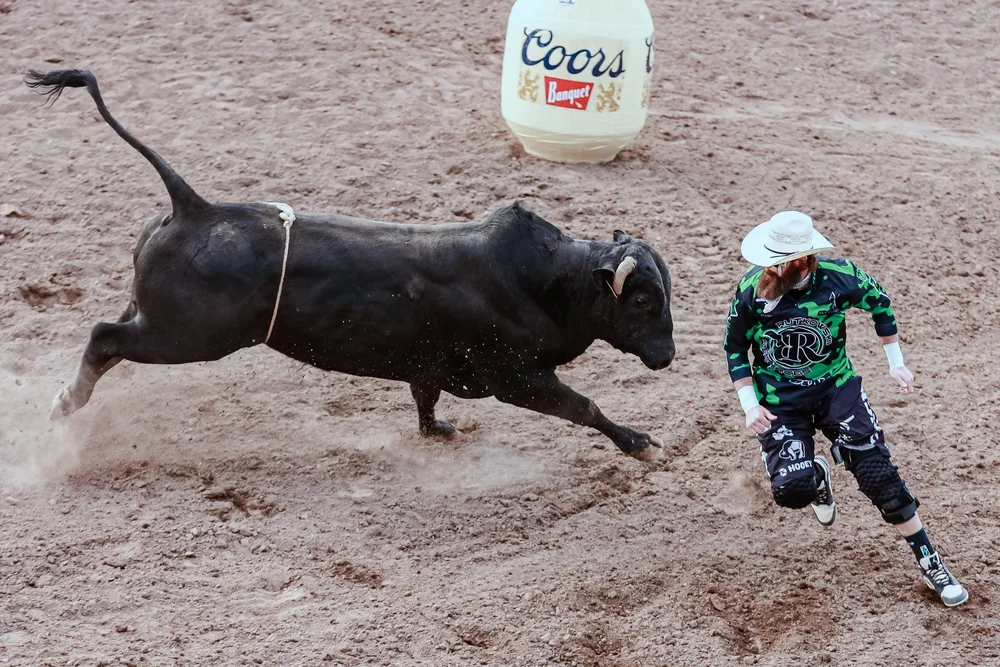 Tucson Rodeo | Experience Tucson Rodeo Today