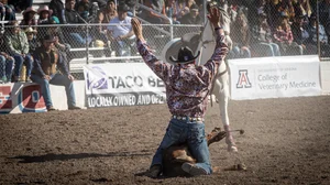 Contact — Tucson Rodeo