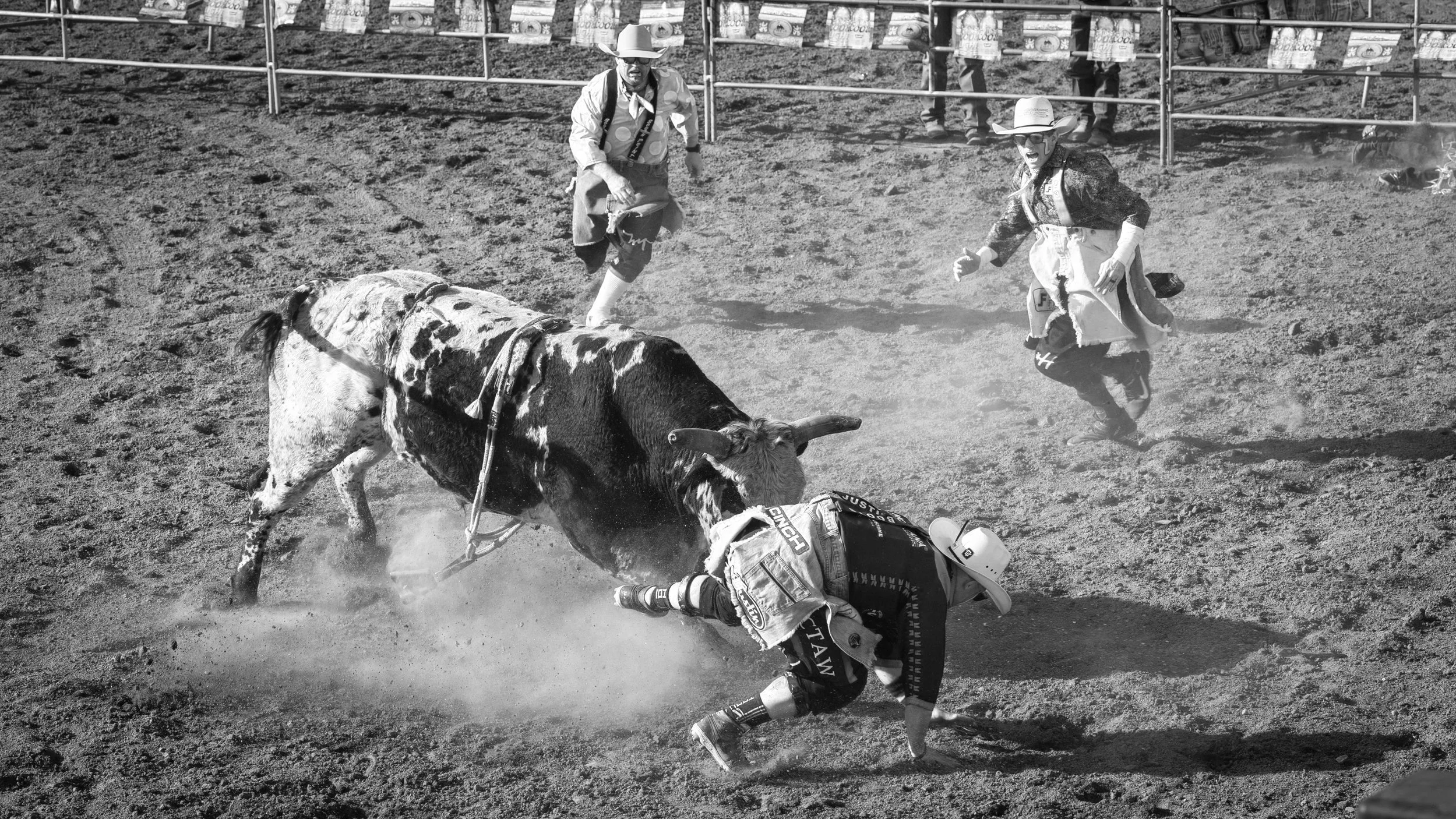 Bull Riding — Tucson Rodeo