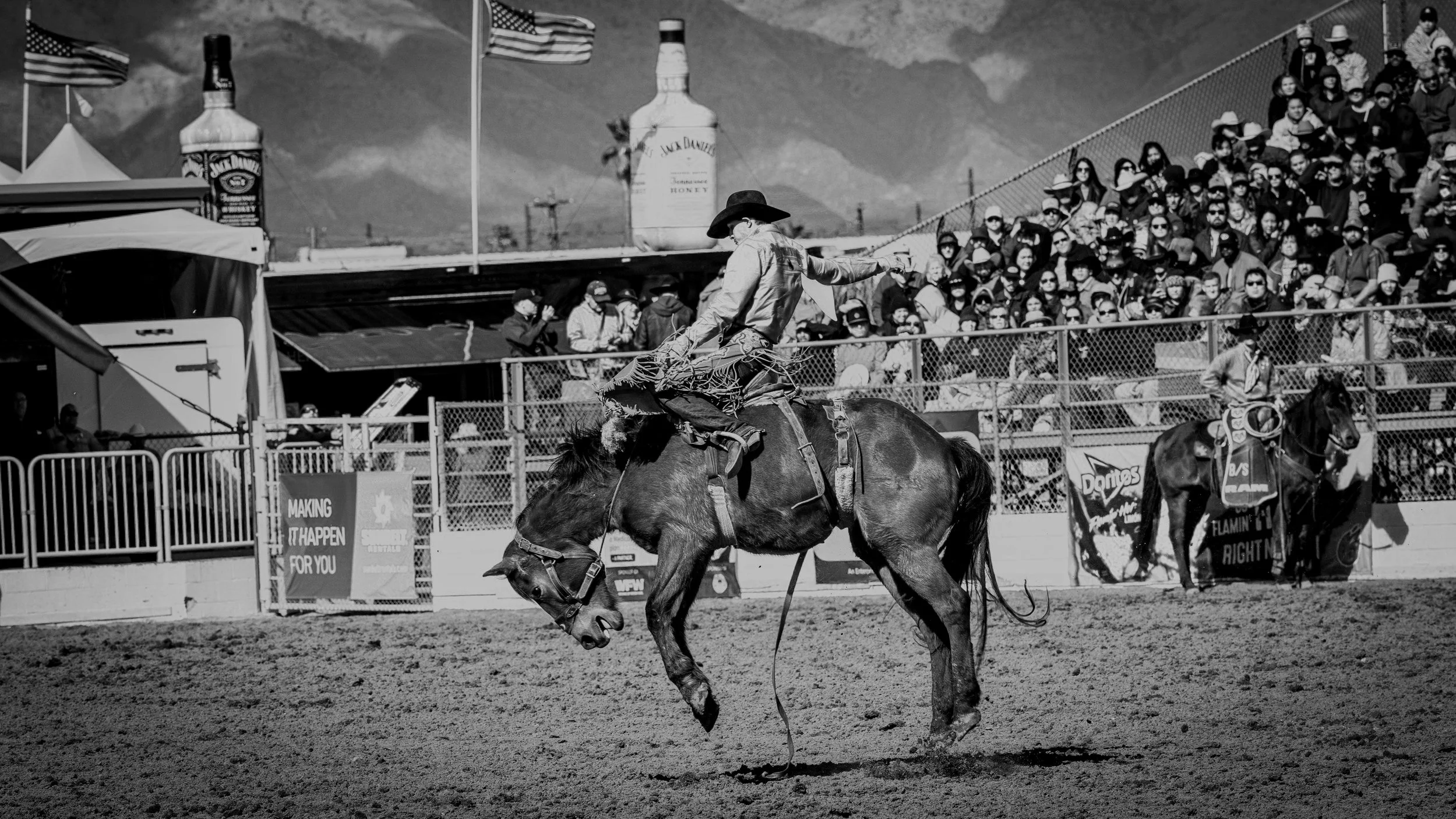 Tucson Rodeo | Experience Tucson Rodeo Today