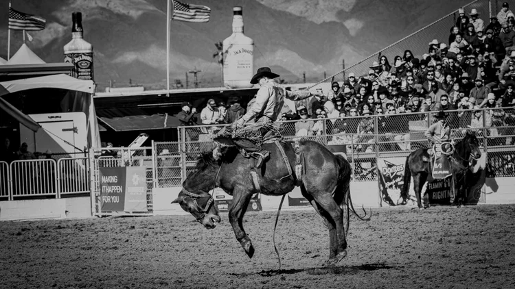 Tucson Rodeo | Experience Tucson Rodeo Today
