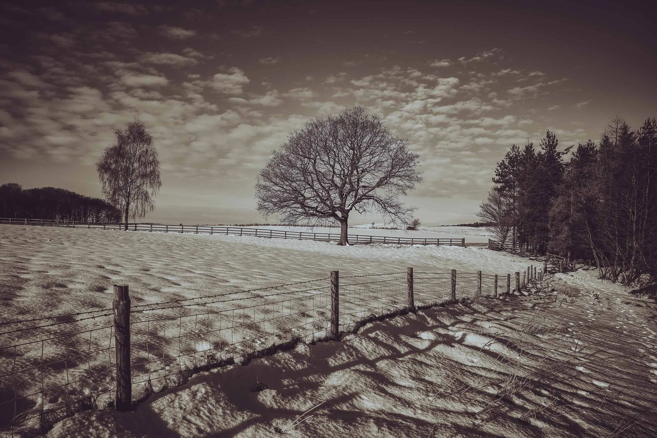 Wallpaper West Yorkshire