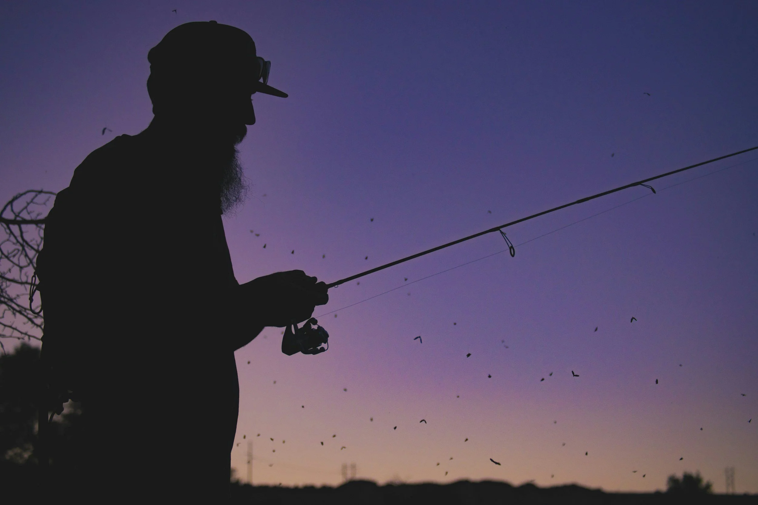 Beginner’s Guide to Drop Shot Fishing: Techniques, Rigs & Bait for ...