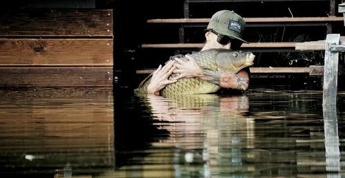 Complete Guide to UK Coarse Fish Species - Identification, Records ...