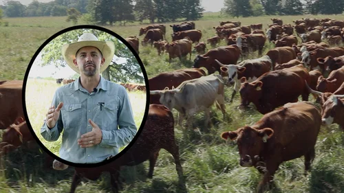 Step-by-step videos show basic adaptive grazing processes — Illinois ...
