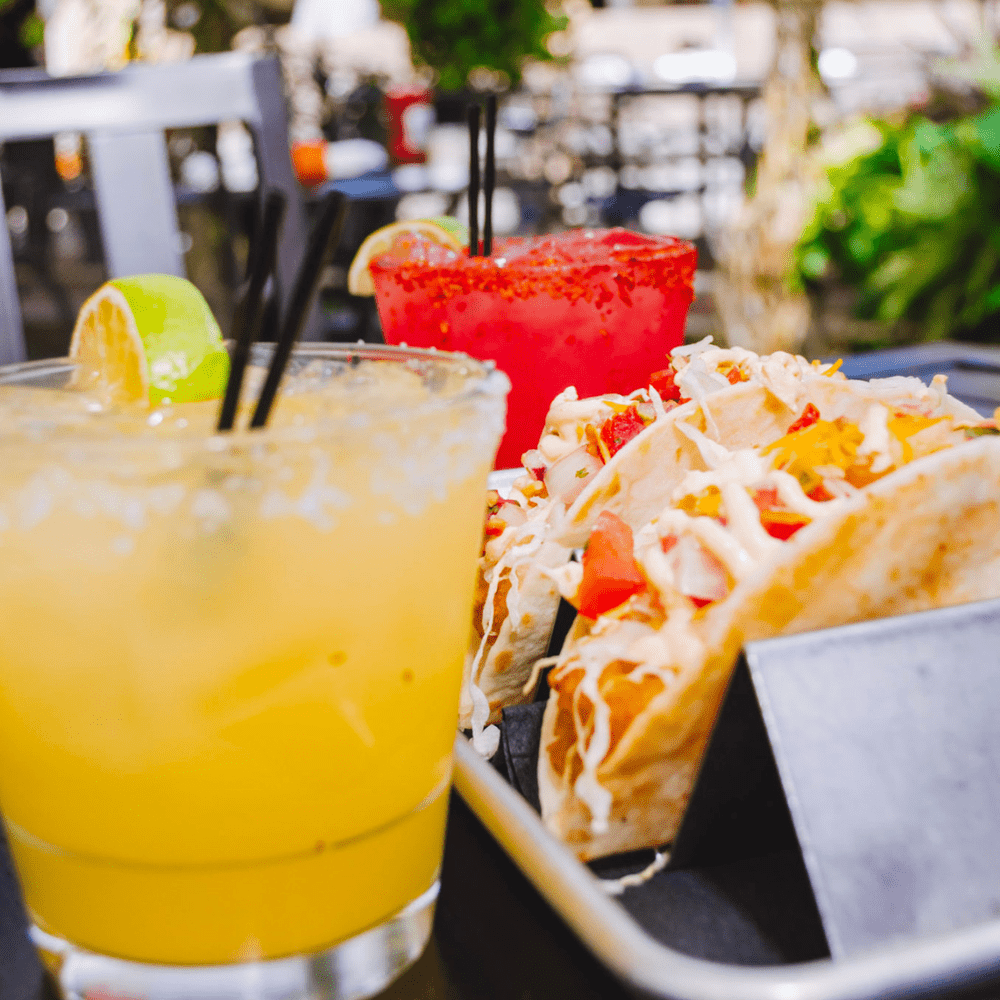 Seasonal Menu — Greenhouse Tavern