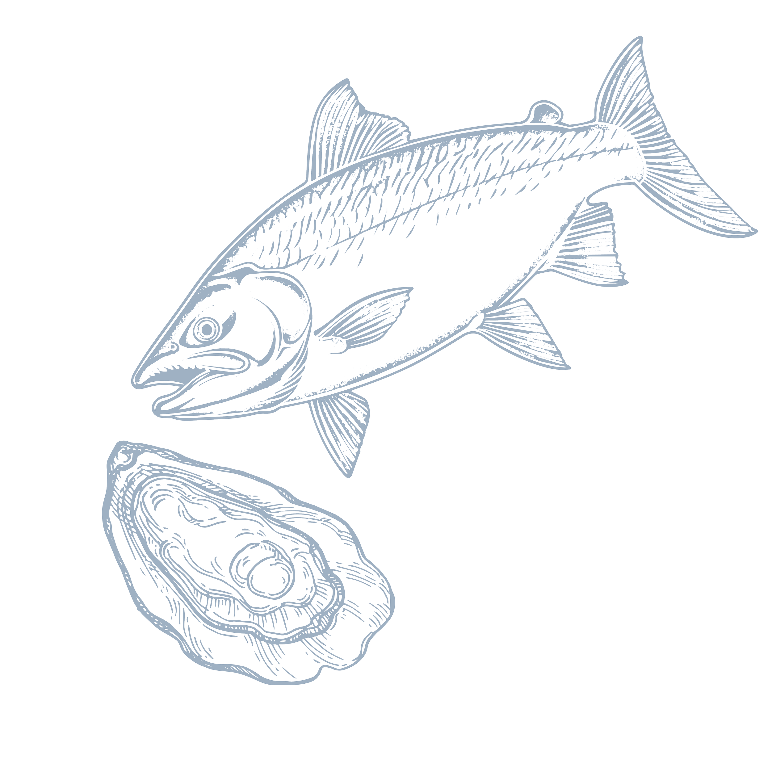 Lunch Menu — HOOK & ANCHOR