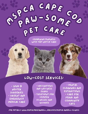 Paw-some Pet Care: MSPCA Cape Cod Clinic — Plymouth Helping Hands For ...