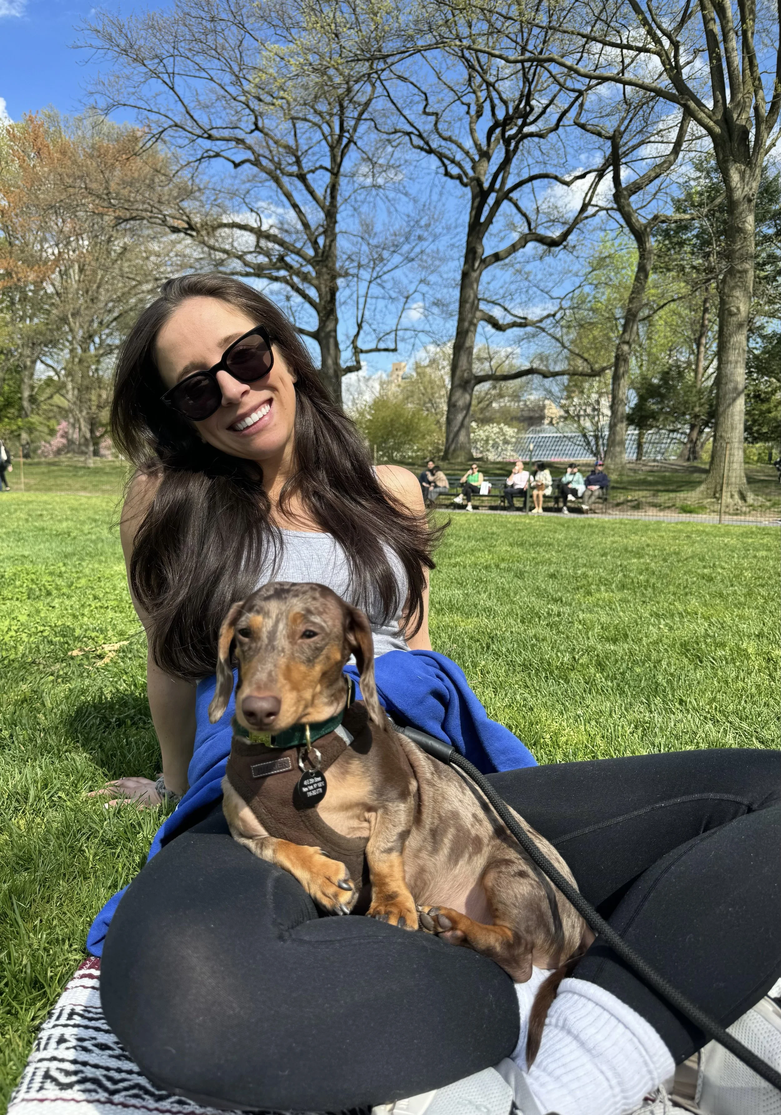 Team — Pupstarz Rescue