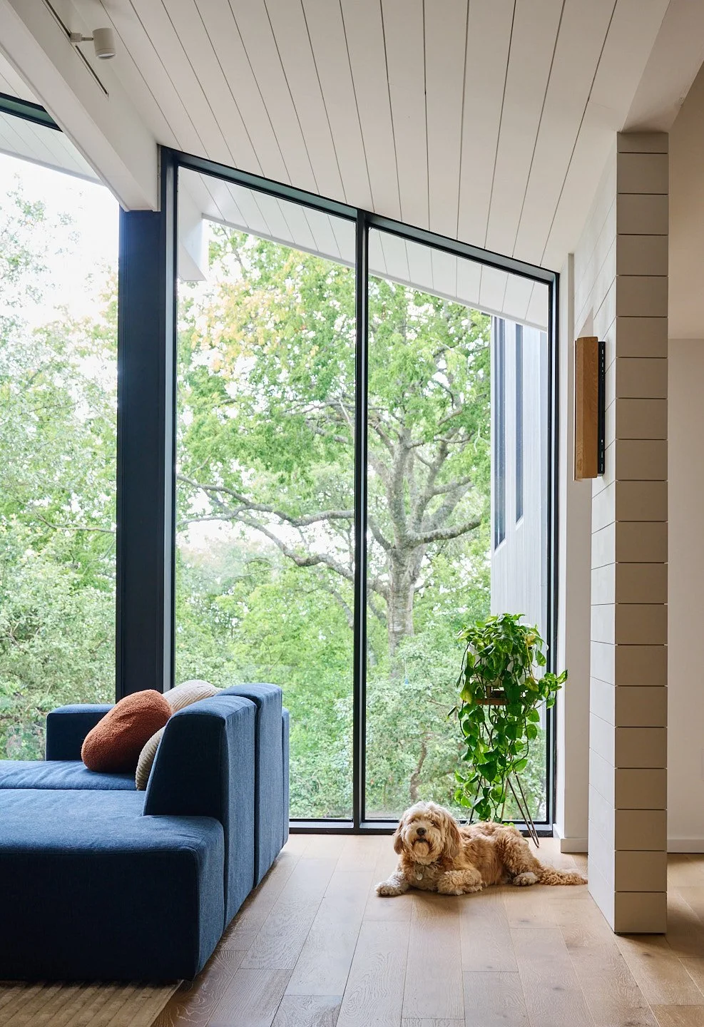 Hood House — Murray Legge Architecture