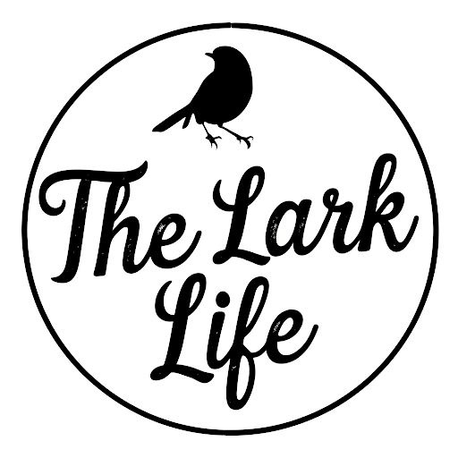 Cute Fabric Shoelaces — The Lark Life