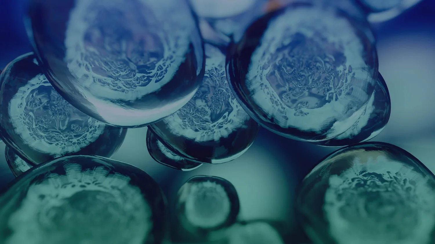 Science — Nikaia Pharmaceuticals