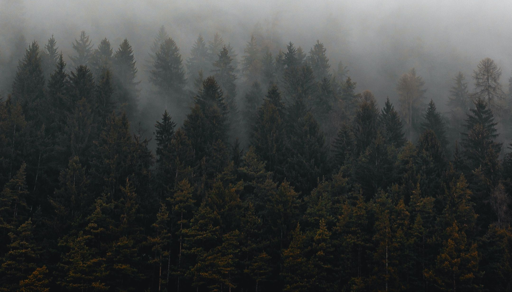 Thirteen Pines | Dedicated To The Deepening Of Men