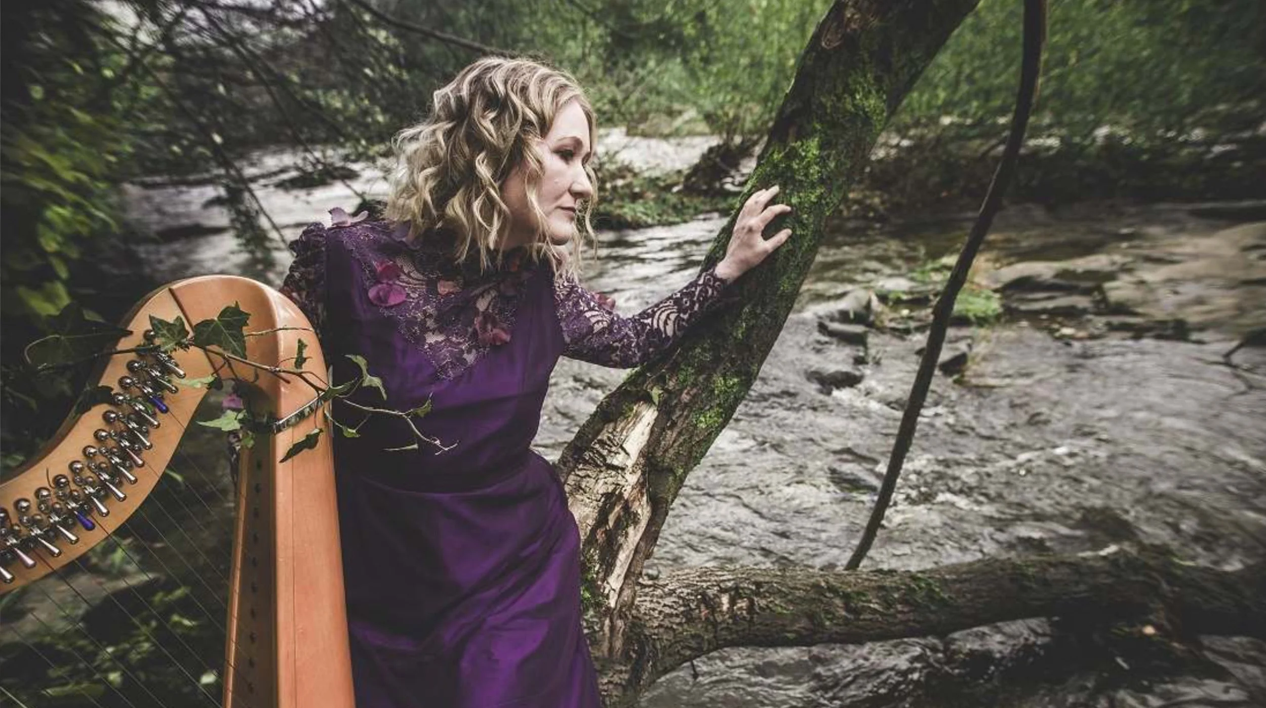 Artists & Bands | Explore and Discover Now — Trac Cymru