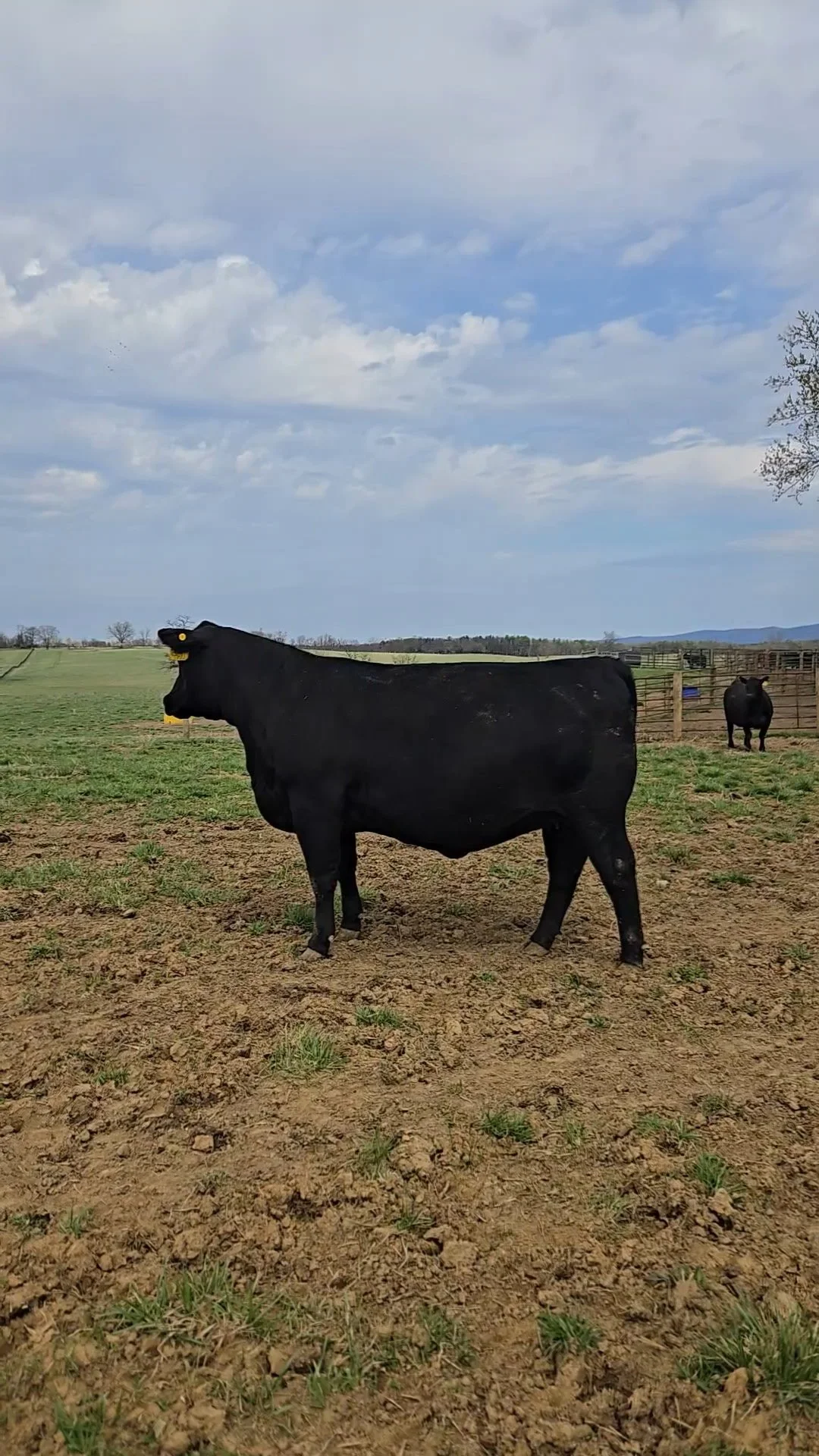 Audley Farm | Discover Quality Farming Today