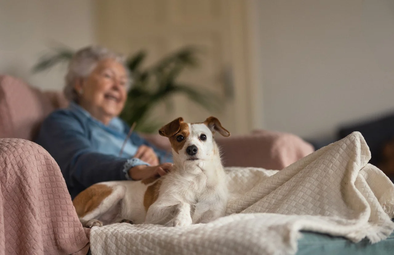 The Sonnet at Tennyson Memory Care and Assisted Living | Stories
