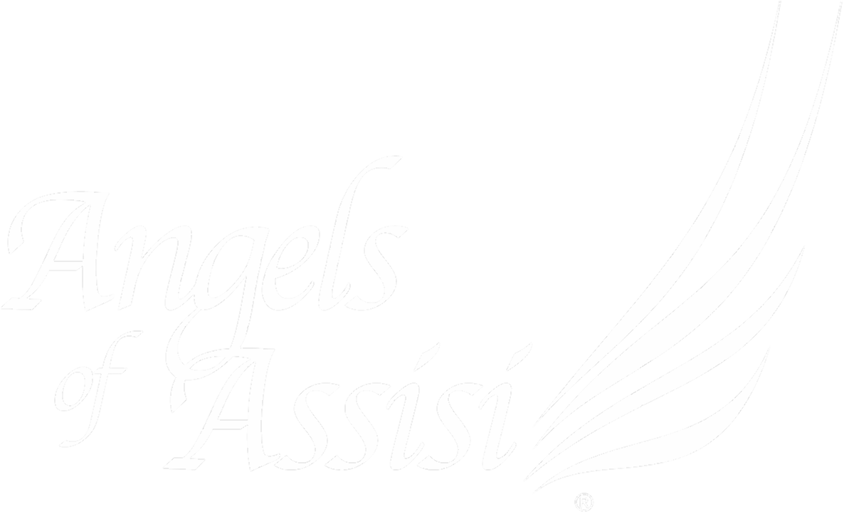 Rehoming & Surrendering Your Pet — Angels of Assisi