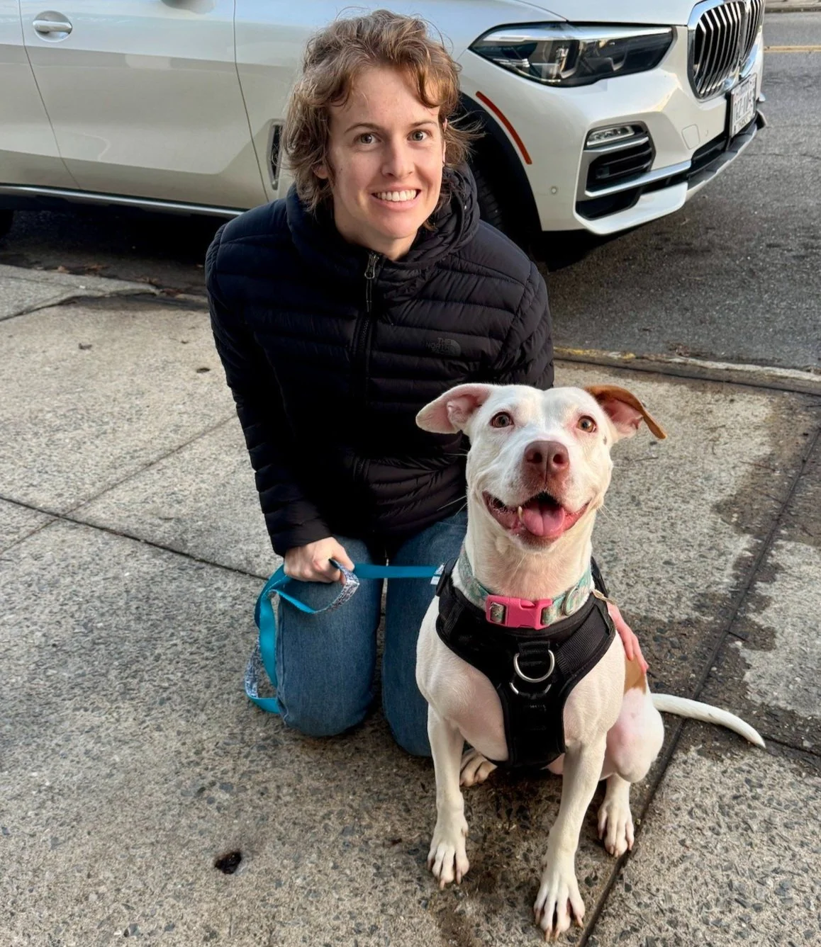 Adopt — Angels of Assisi