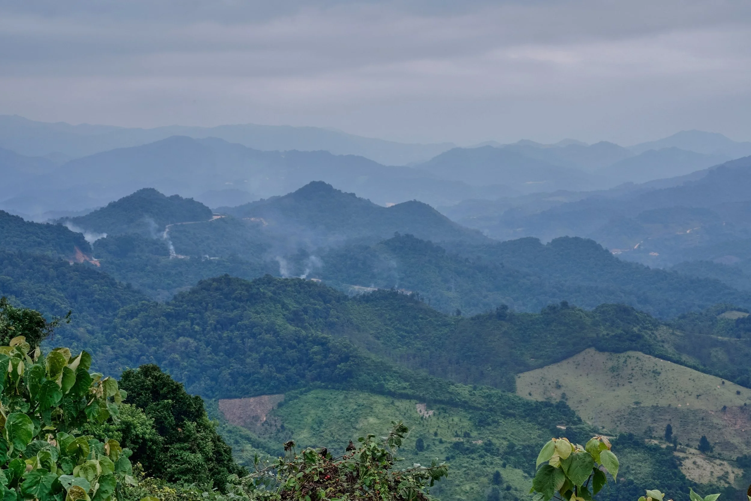 Markets & Exports — Laos Coffee