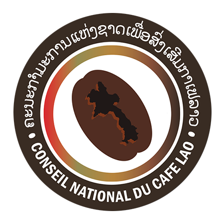 Laos Coffee | Explore Our Coffee Excellence