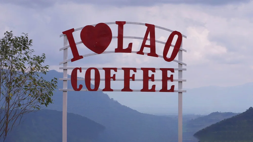 Laos Coffee