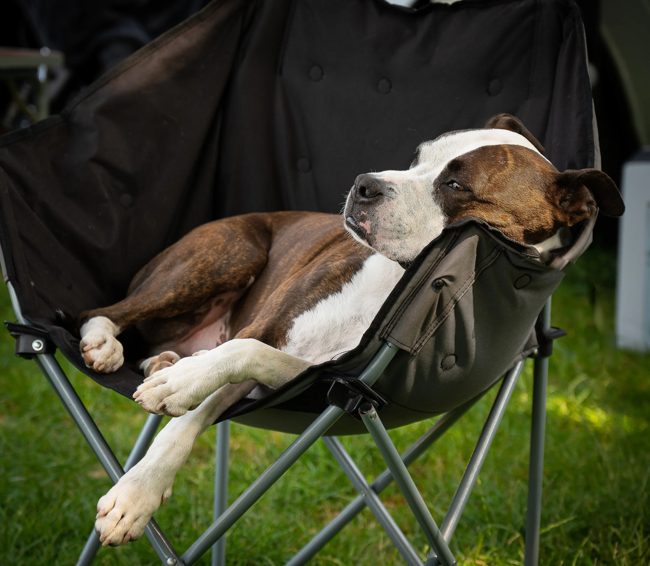 Amenities and Photos | Daniel Boone RV Resort | Morganton, NC — Daniel ...