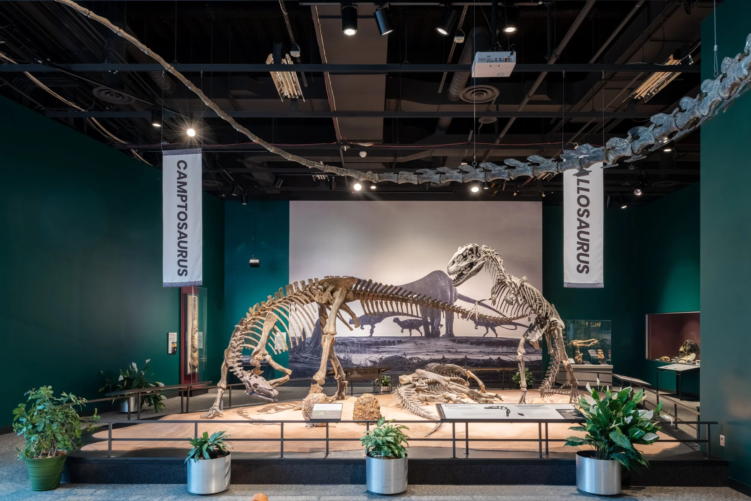 Science Museum of Minnesota — macc
