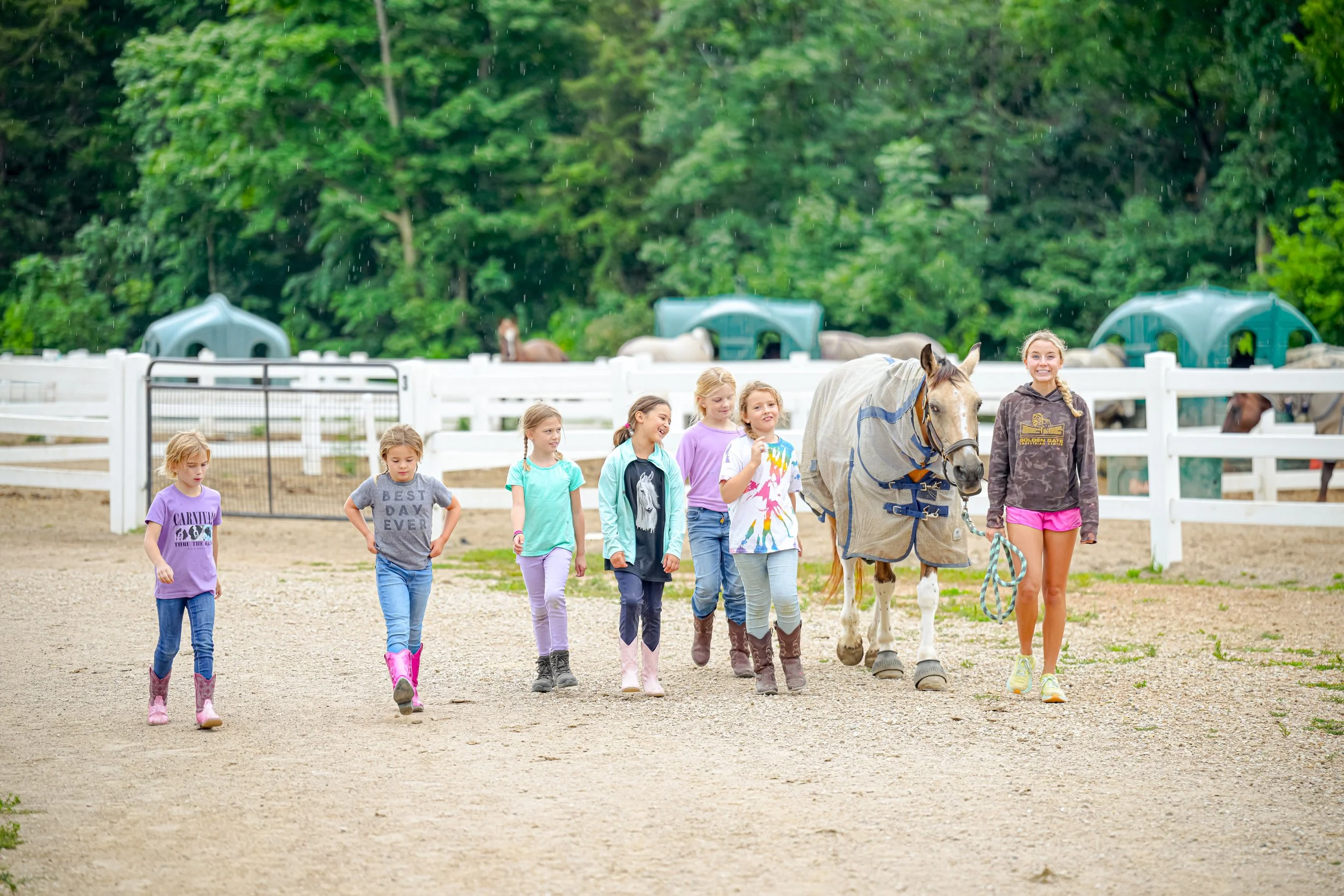 Summer Camp — Golden Gate Equestrian Center