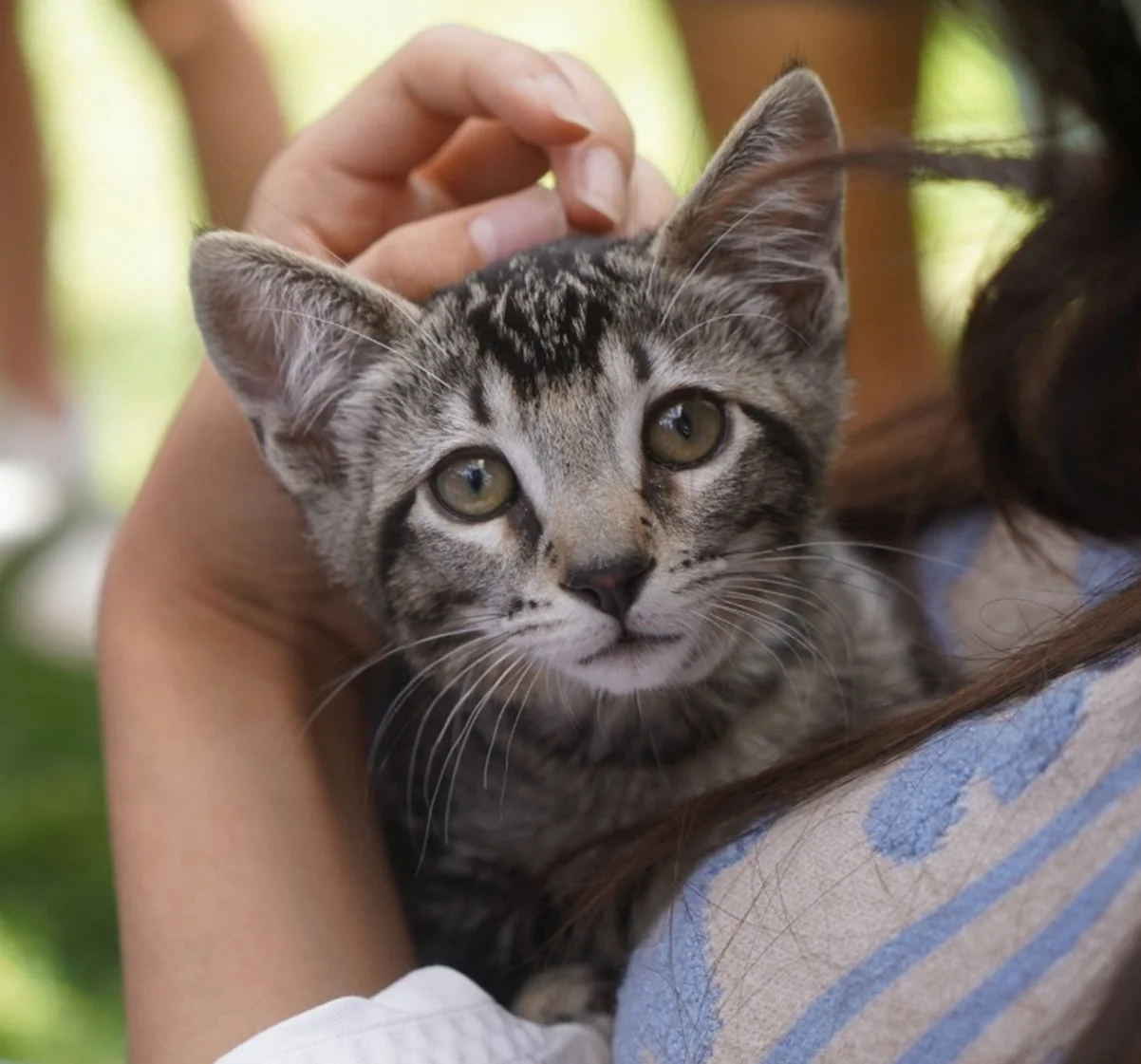 About Us — Yolo County Animal Services
