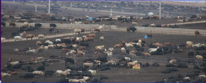It's All About the Soil: 6 Ways Regenerative Farming Restores Land at ...
