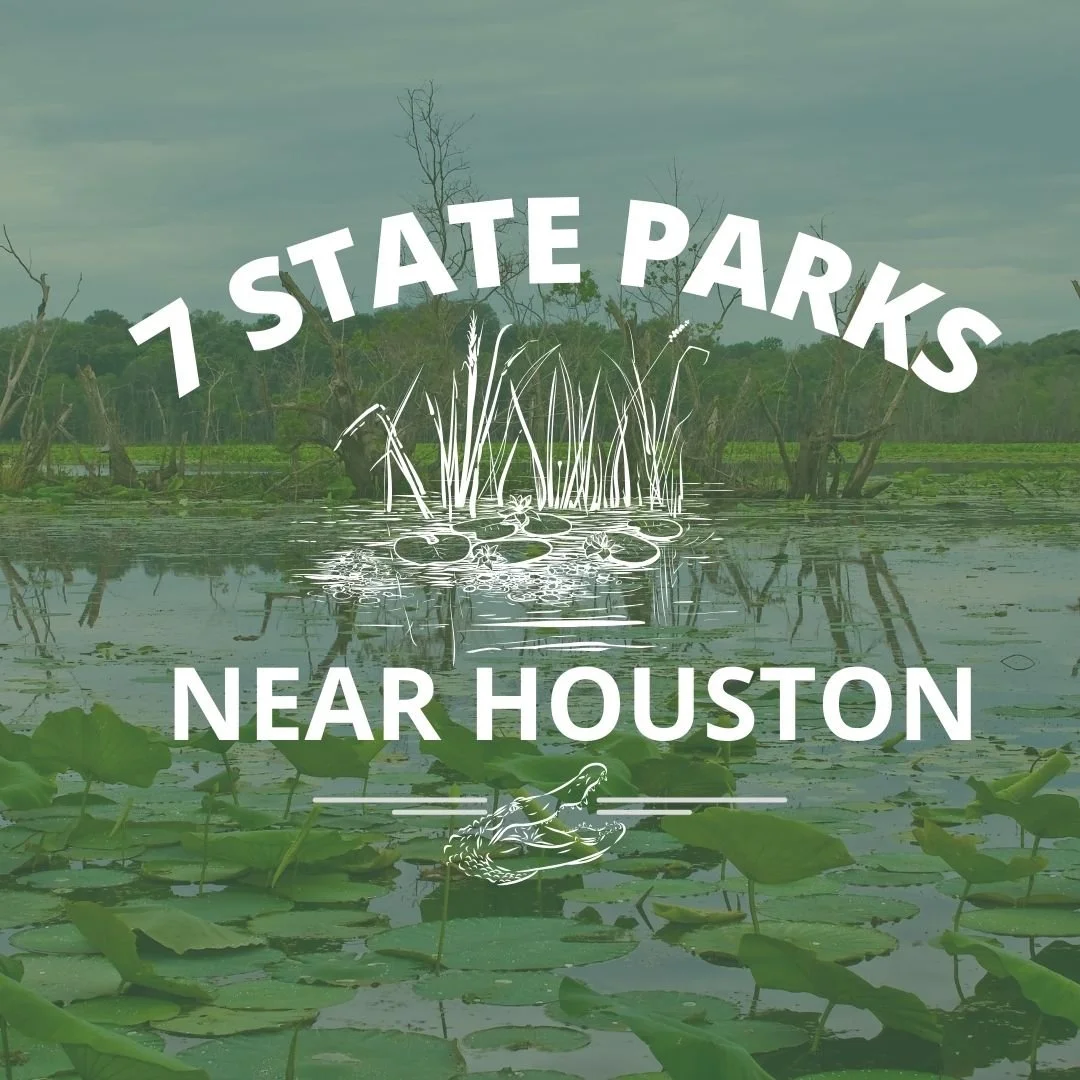 Top 7 State Parks Near Houston for Outdoor Adventure — Buzz by Bee