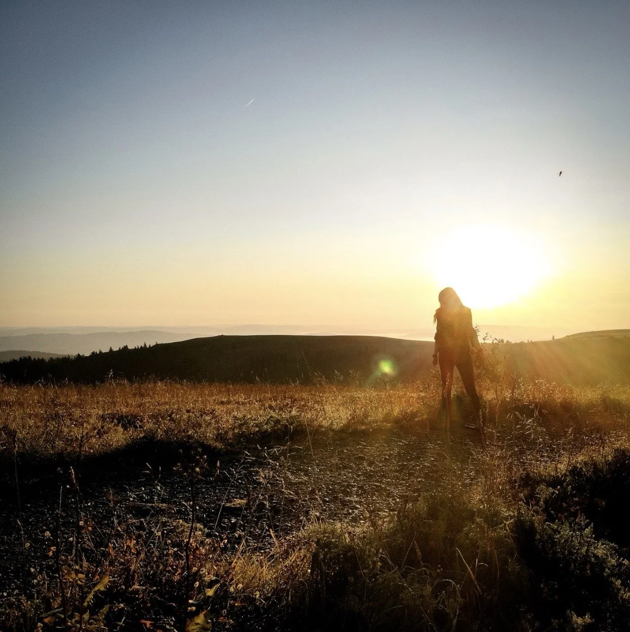 FPV Mastery FPV isn’t just flying, it's creativity, and adventure ...