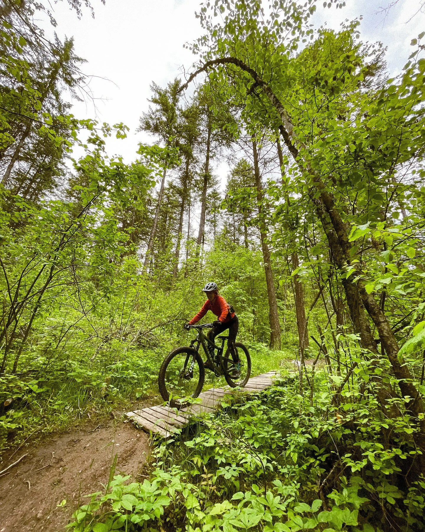 The Evergreen Gear Exchange