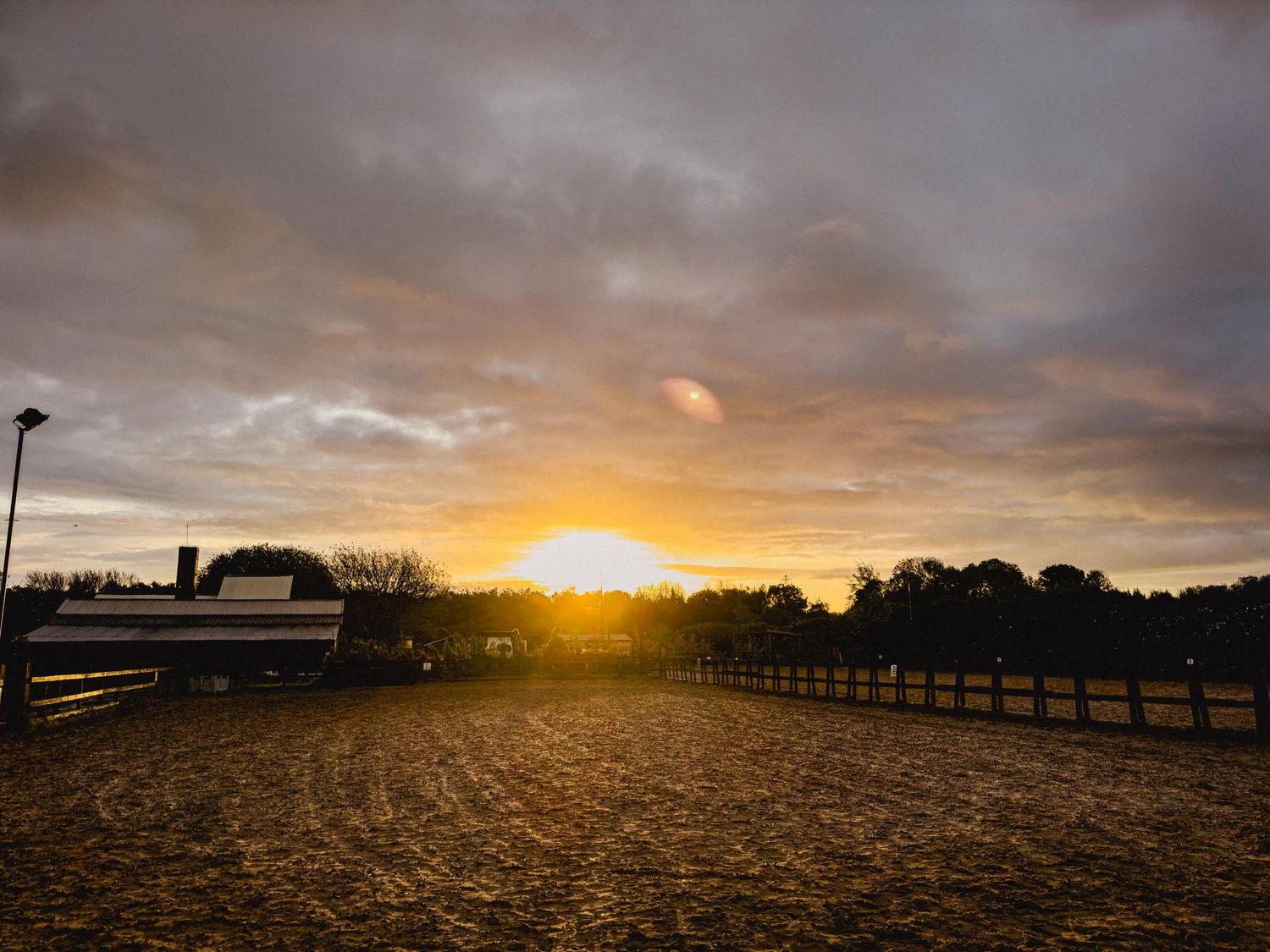 CHANGING LIVES | SEN School Manchester | Equine & Animal-Assisted Education