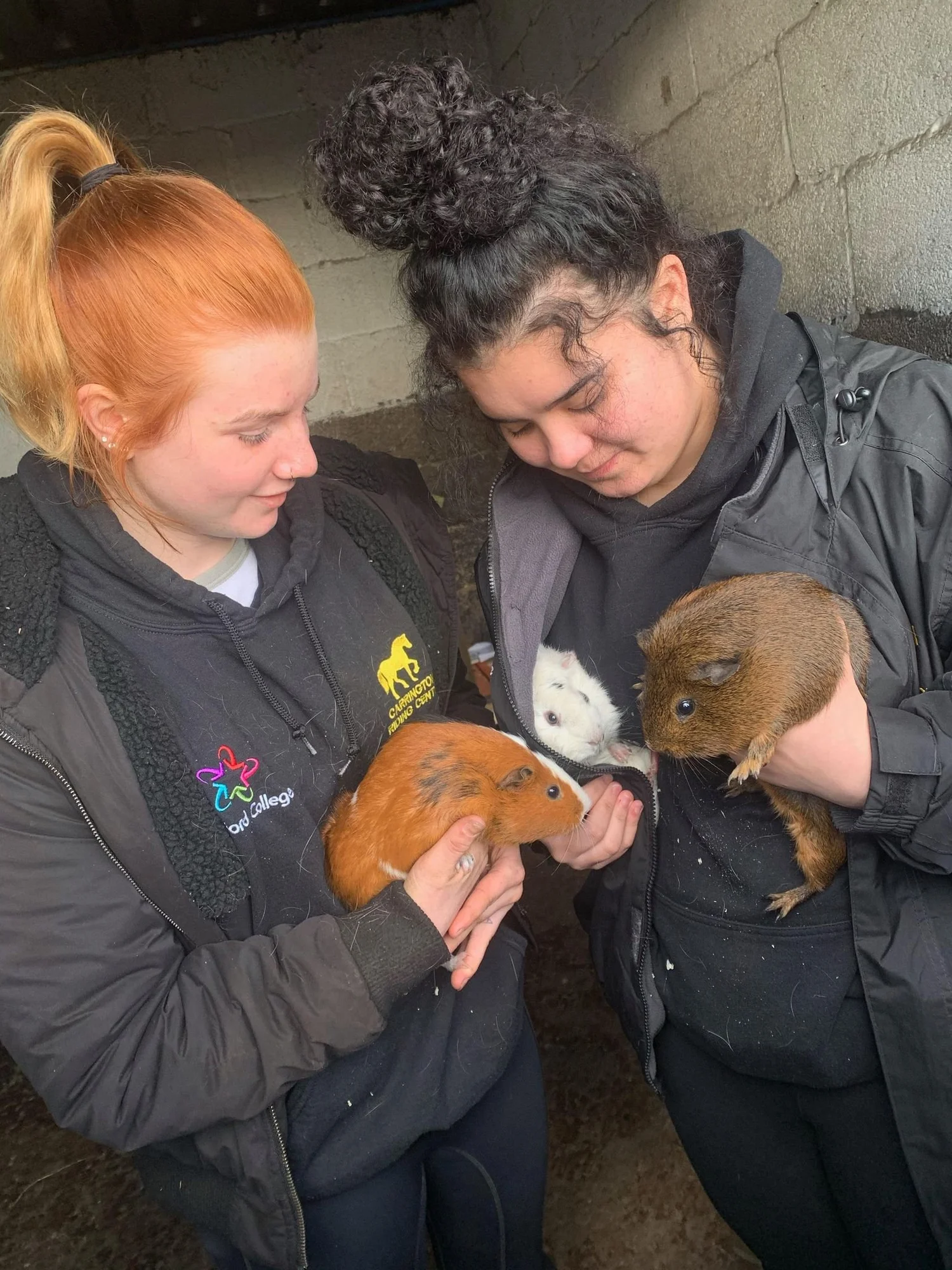 CHANGING LIVES | SEN School Manchester | Equine & Animal-Assisted Education