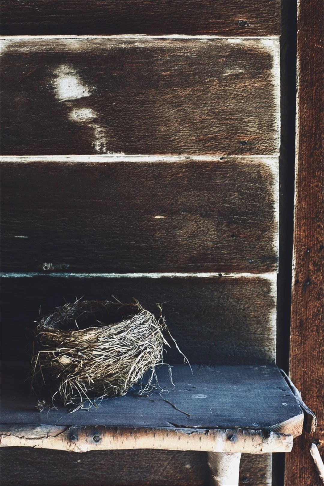 About 1 — John Burroughs Woodchuck Lodge